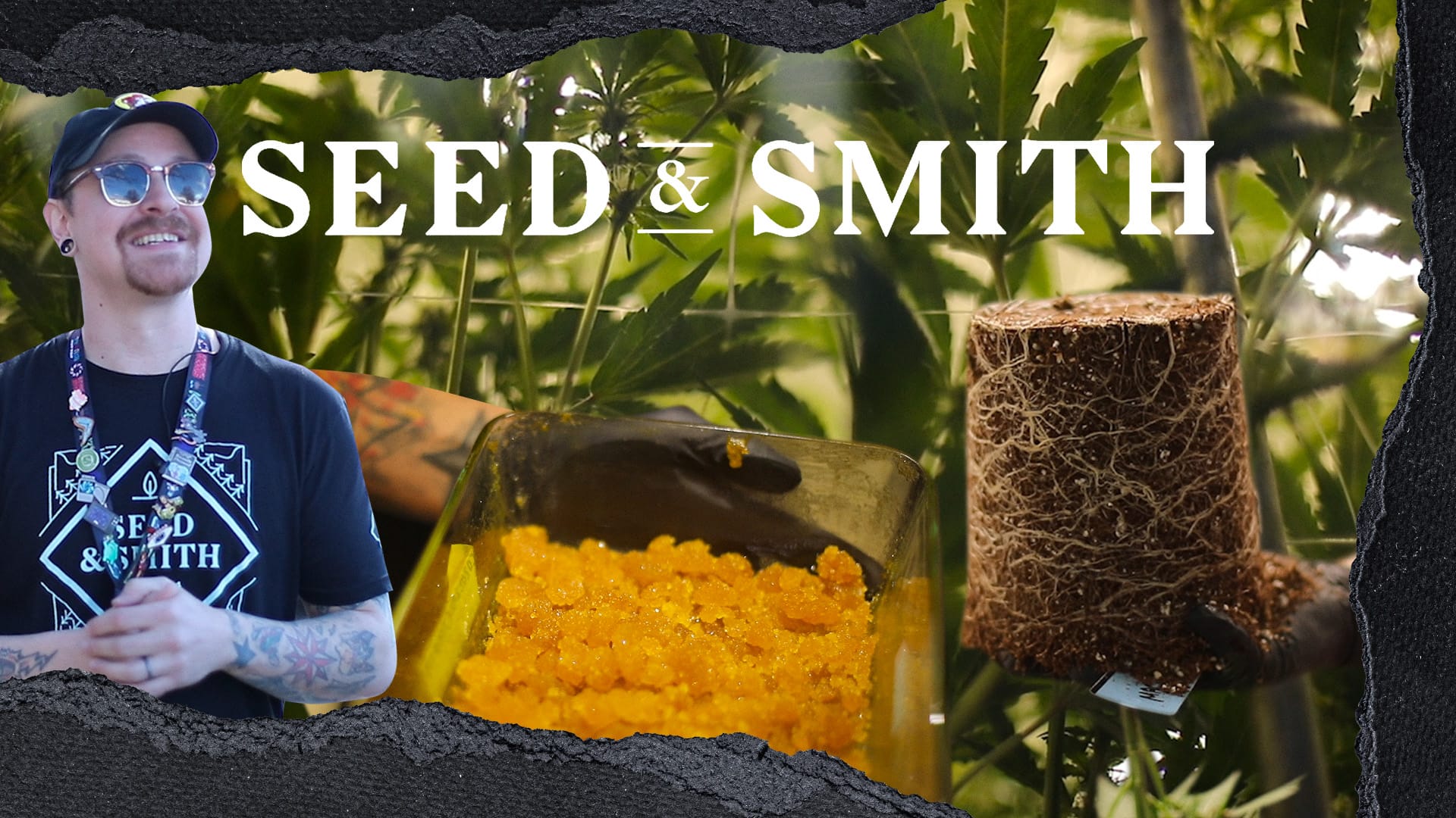 Behind-The-Scenes of a Cannabis Grow Facility with Seed & Smith – Sky ...